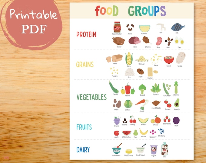 Food Group Flashcards for Kids, Kids Nutrition Education, Homeschool ...