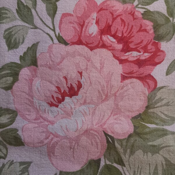 White Cabbage Rose - Etsy