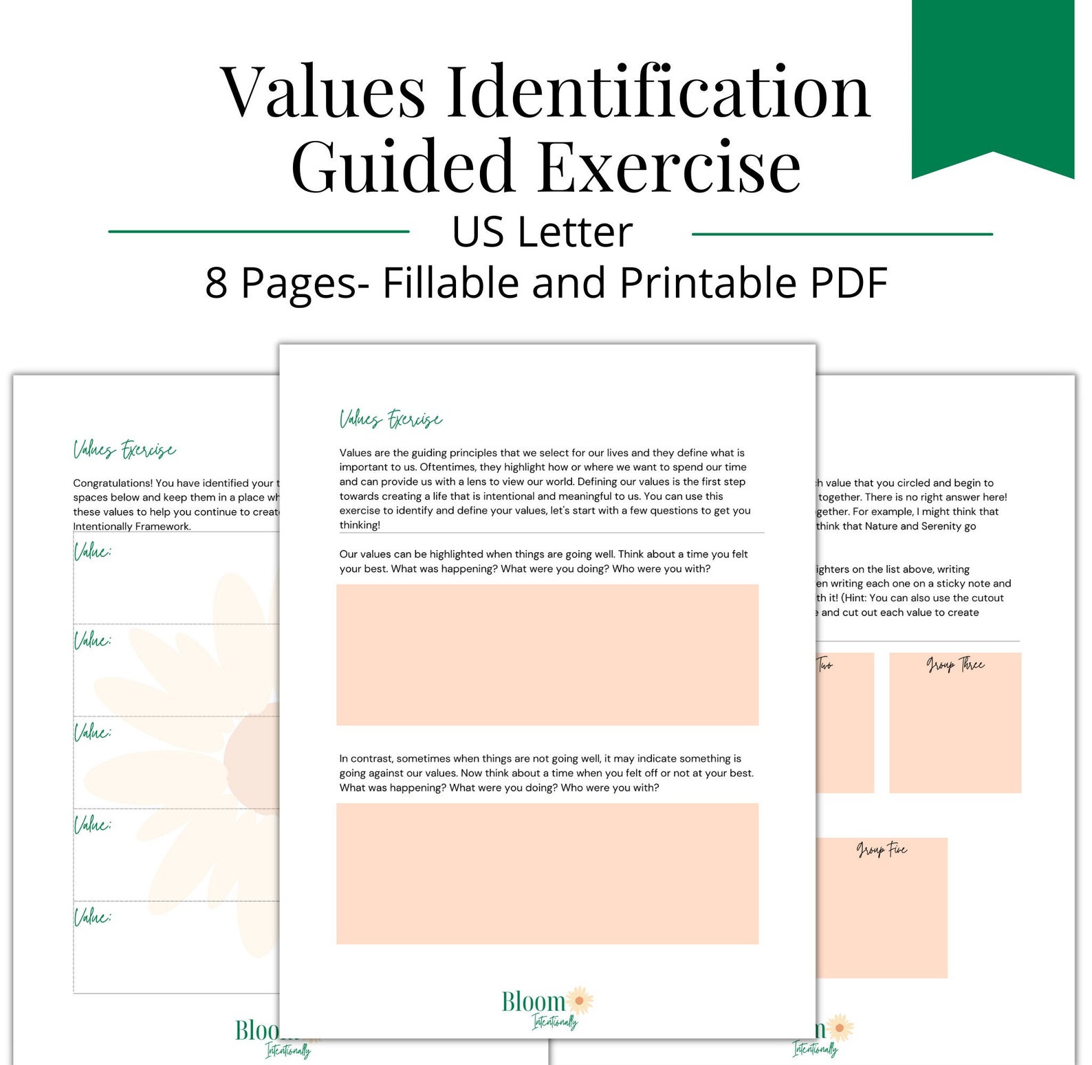 Values Identification Guided Exercise Identify Your Values Worksheet - Etsy