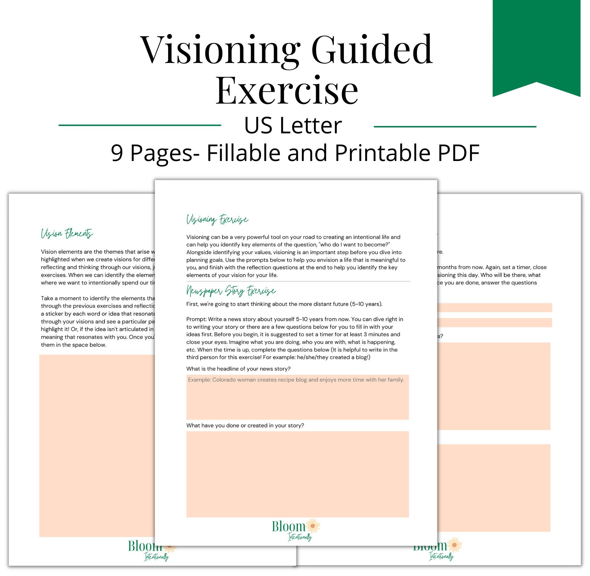 Visioning Guided Exercise; Envision Your Meaningful Life - Etsy