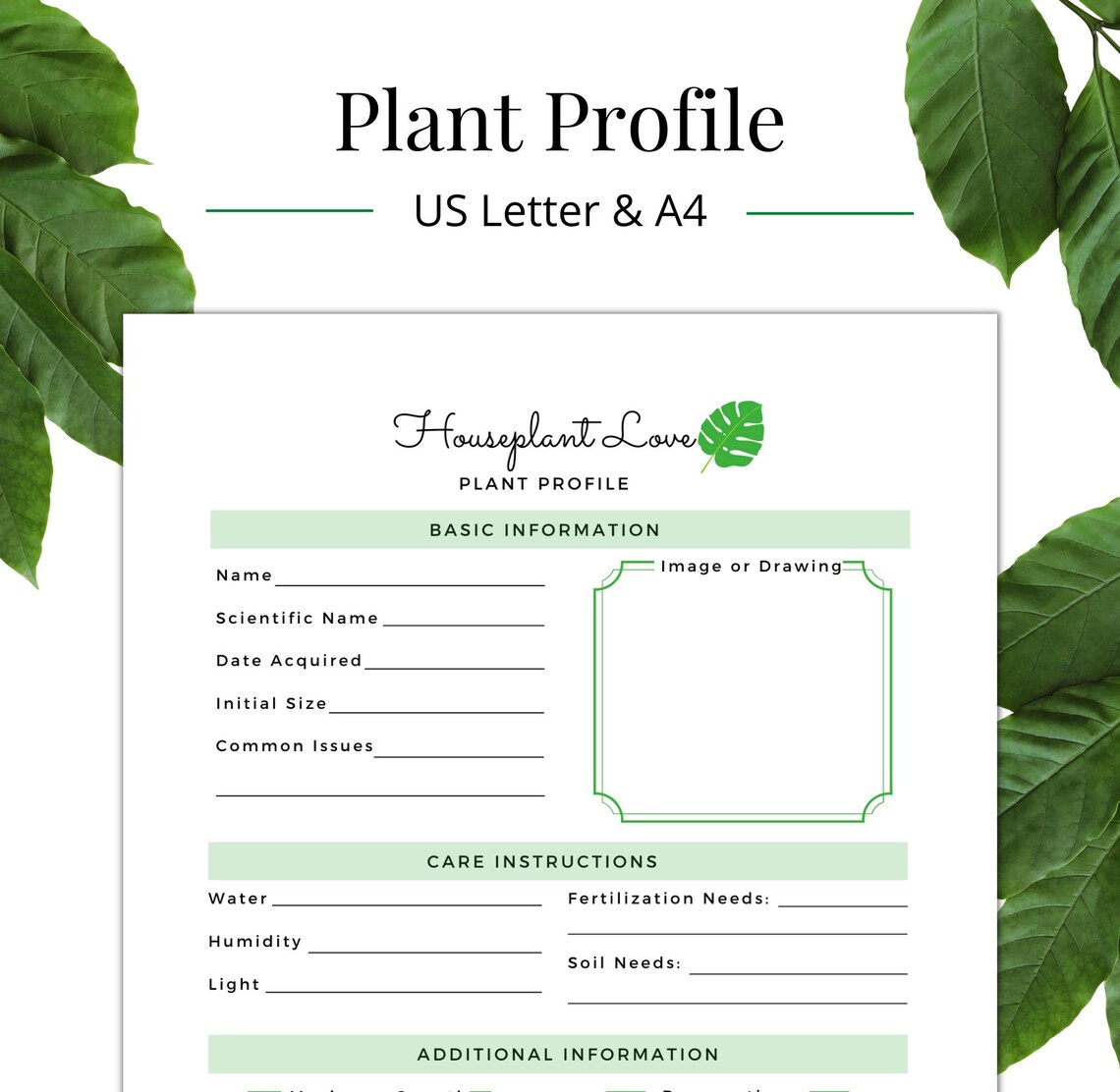 Houseplant Love: Plant Profile - Etsy