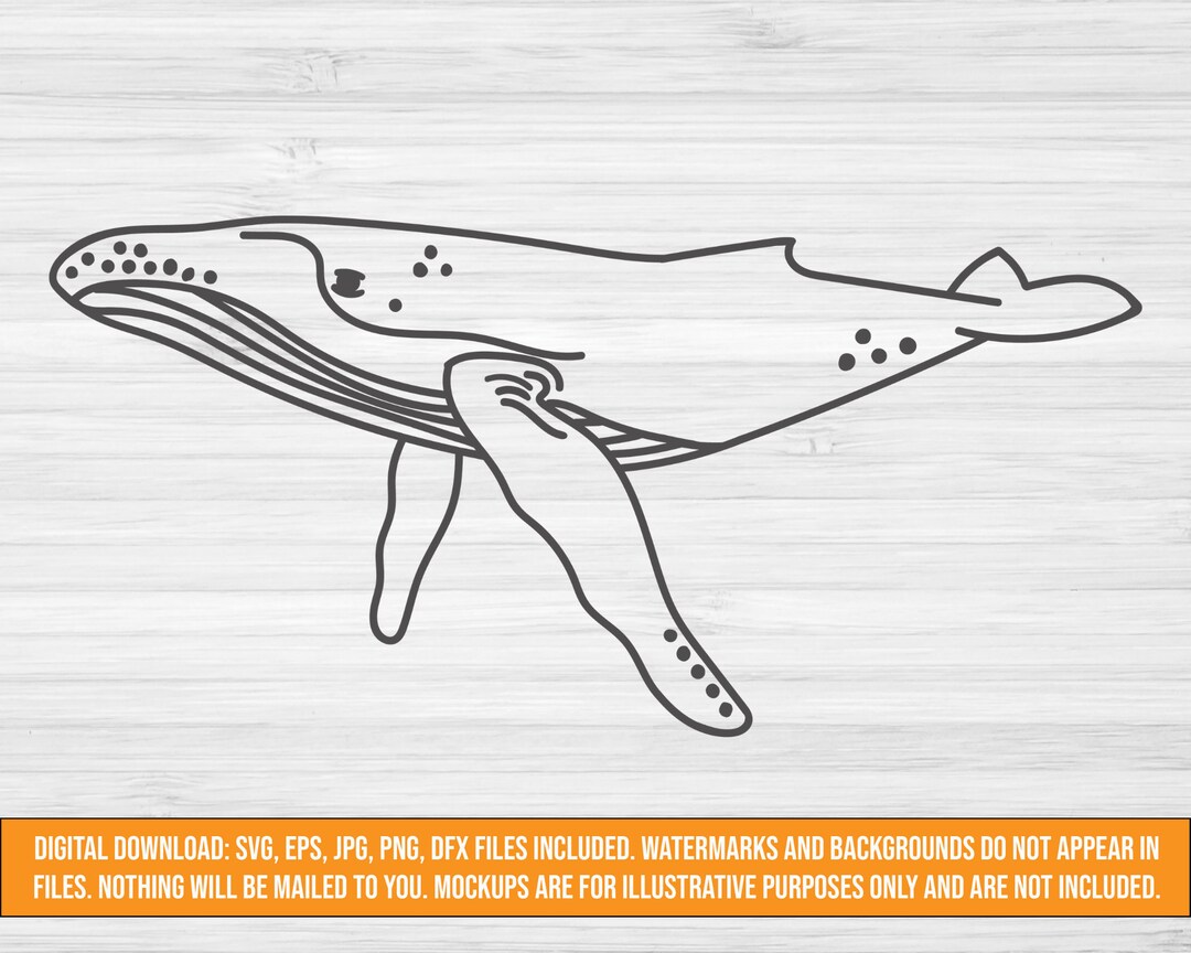 Humpback Whale SVG Instant Download Whale Cut File Sea - Etsy
