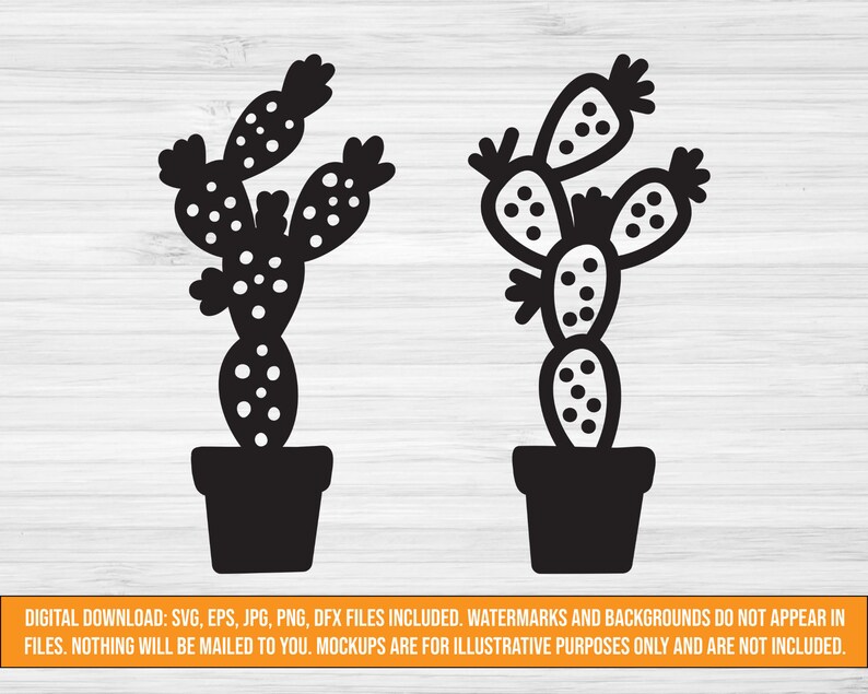 Cactus SVG Digital Download, Cactus Cut File, Cactus Clipart, Flowering ...