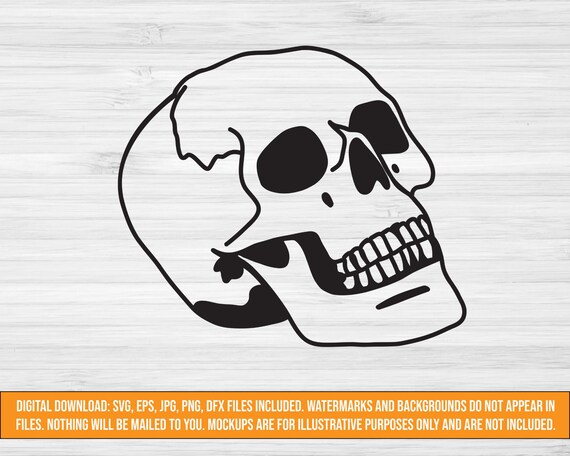 Skull SVG Digital Download Skull Cut File Skull Clipart - Etsy