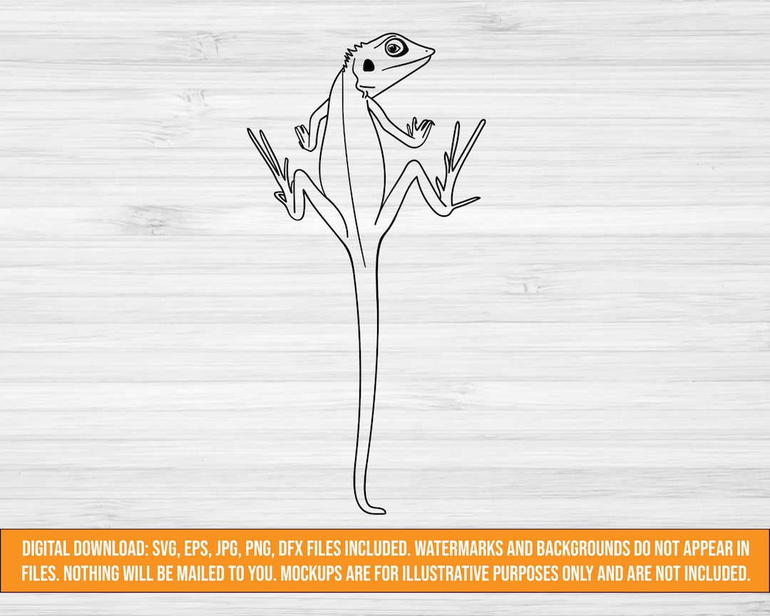 Lizard SVG Digital Download, Lizard Cut File, Reptile SVG, Svg for Kids ...