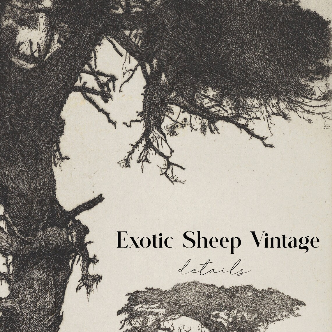 Tree Etching | Tree Drawing | Muted Tree Sketch |tree Print | Cypress ...