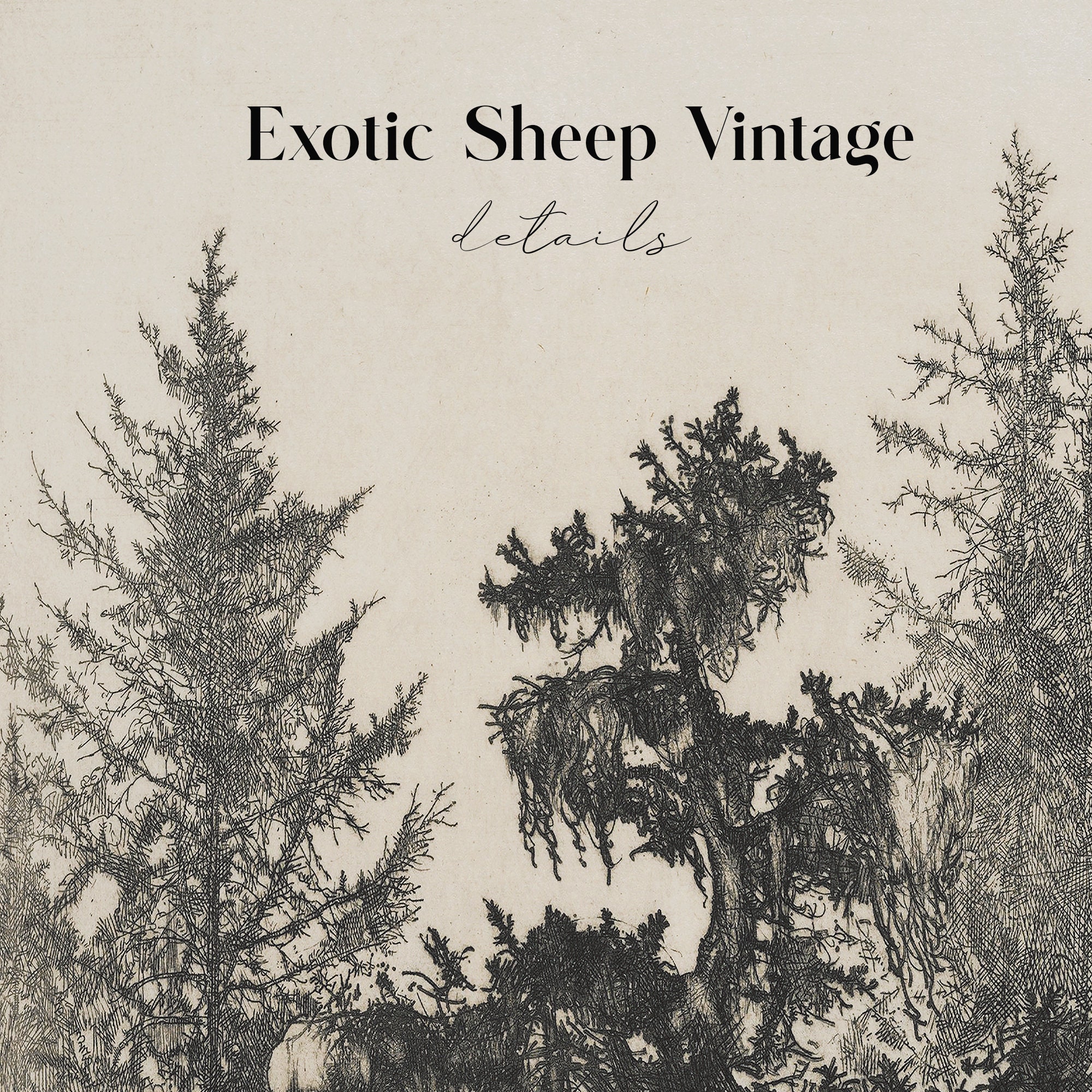 Tree Print Sketch Art Tree Drawing Tree Etching | Etsy