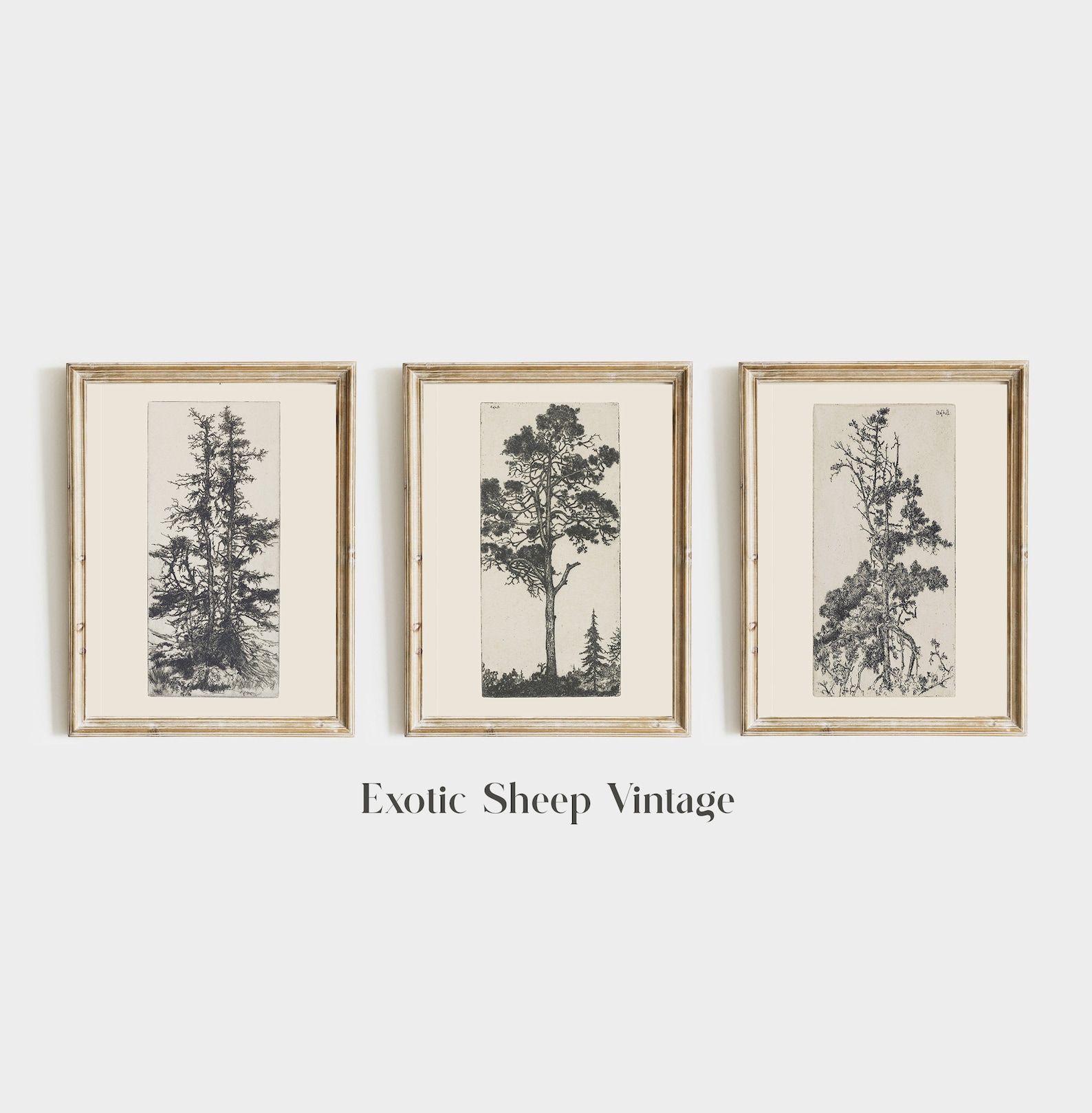 Tree Drawing Set Sketch Art Vintage Drawing Antique | Etsy