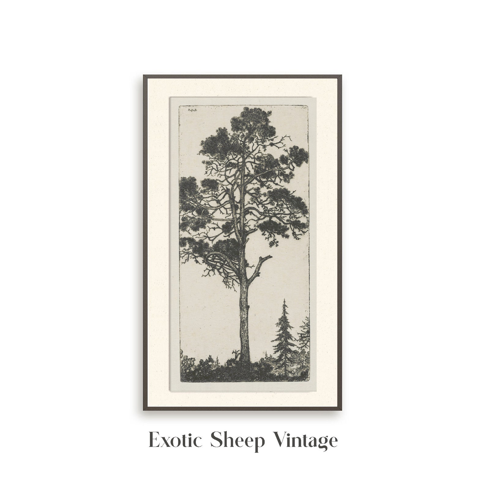 Etching Tree Art Set | Tree Sketch | Tree Drawing | Antique Sketch ...