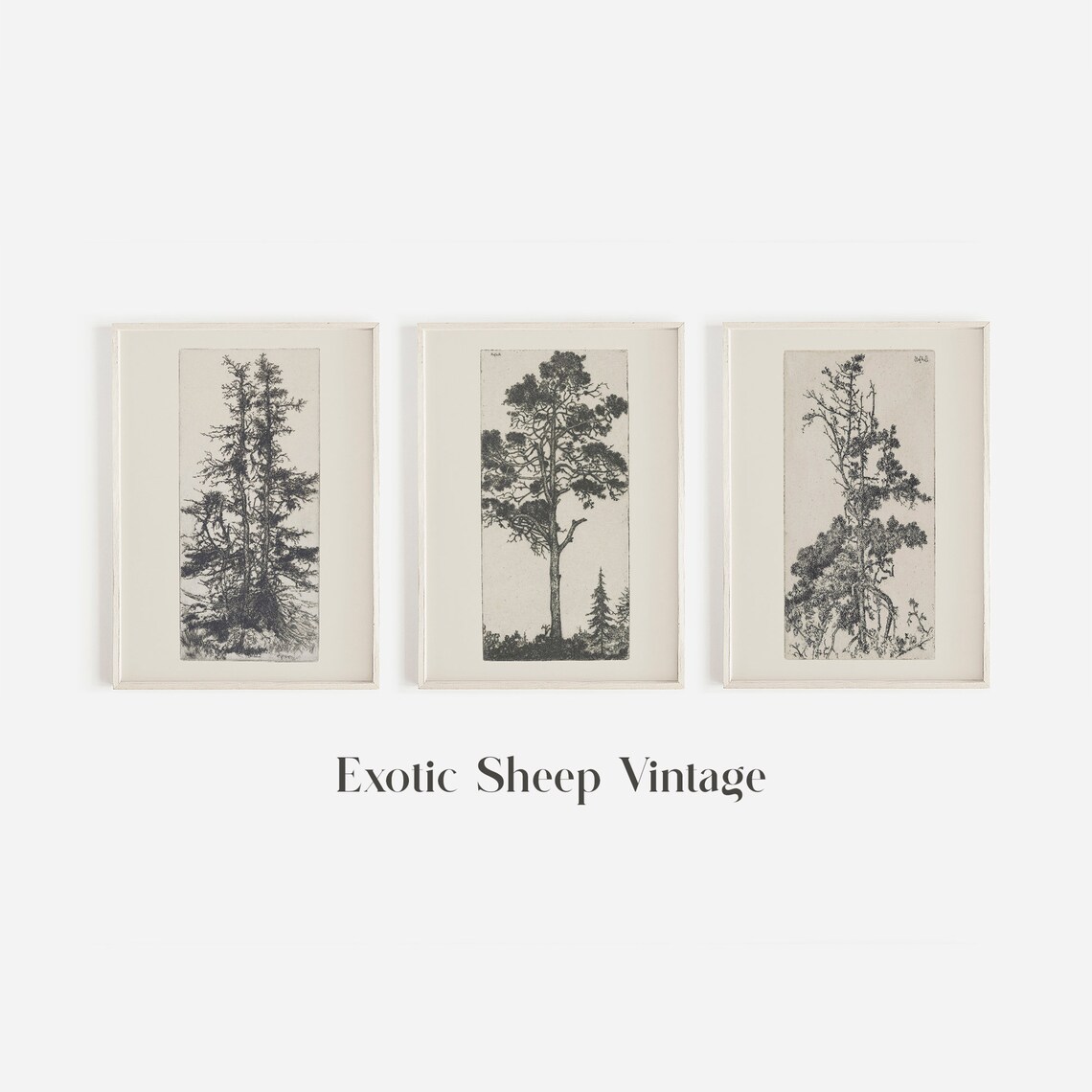 Tree Drawing Set | Sketch Art | Vintage Drawing | Antique Sketch | Tree ...