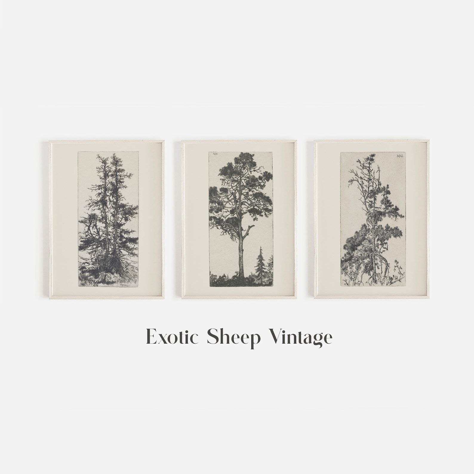 Tree Drawing Set | Sketch Art | Vintage Drawing | Antique Sketch | Tree ...