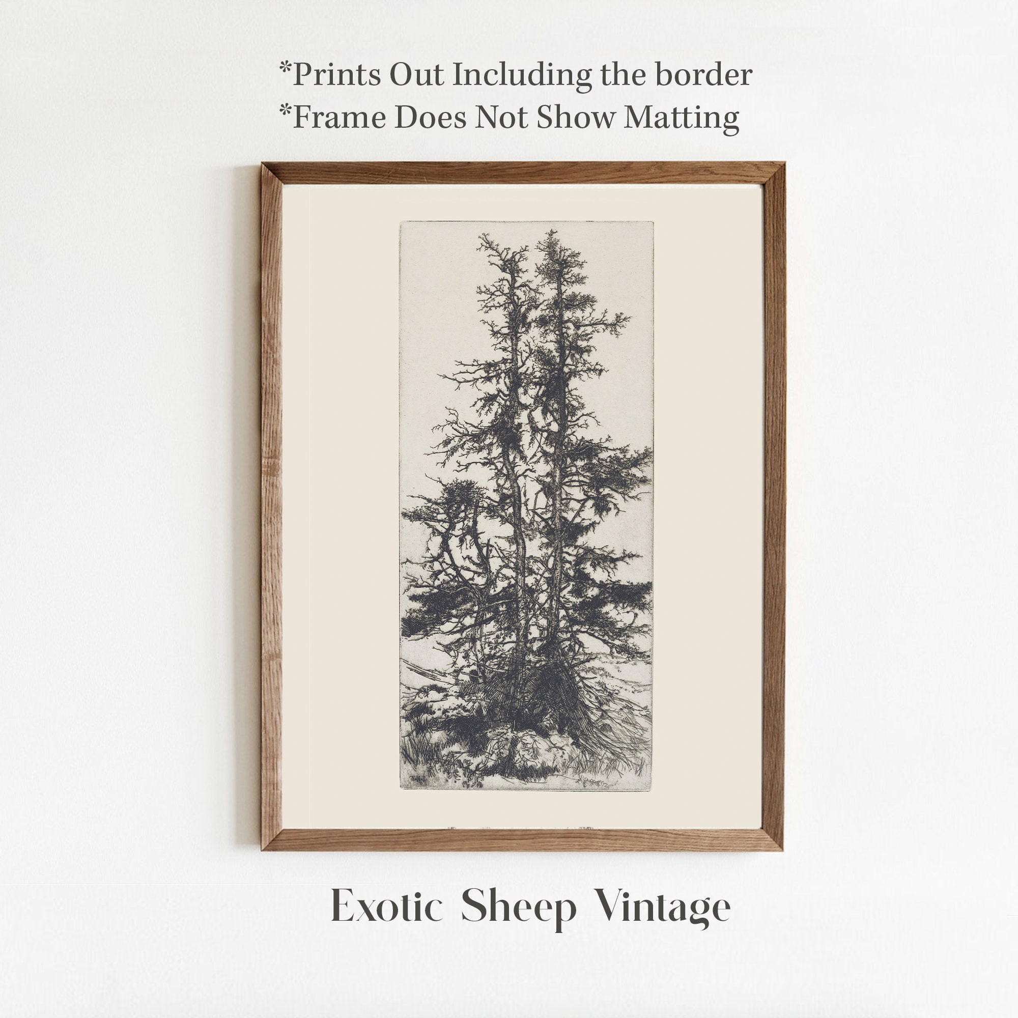 Etching Tree Art | Sophisticated Sketch Art | Sketch Gallery Wall ...