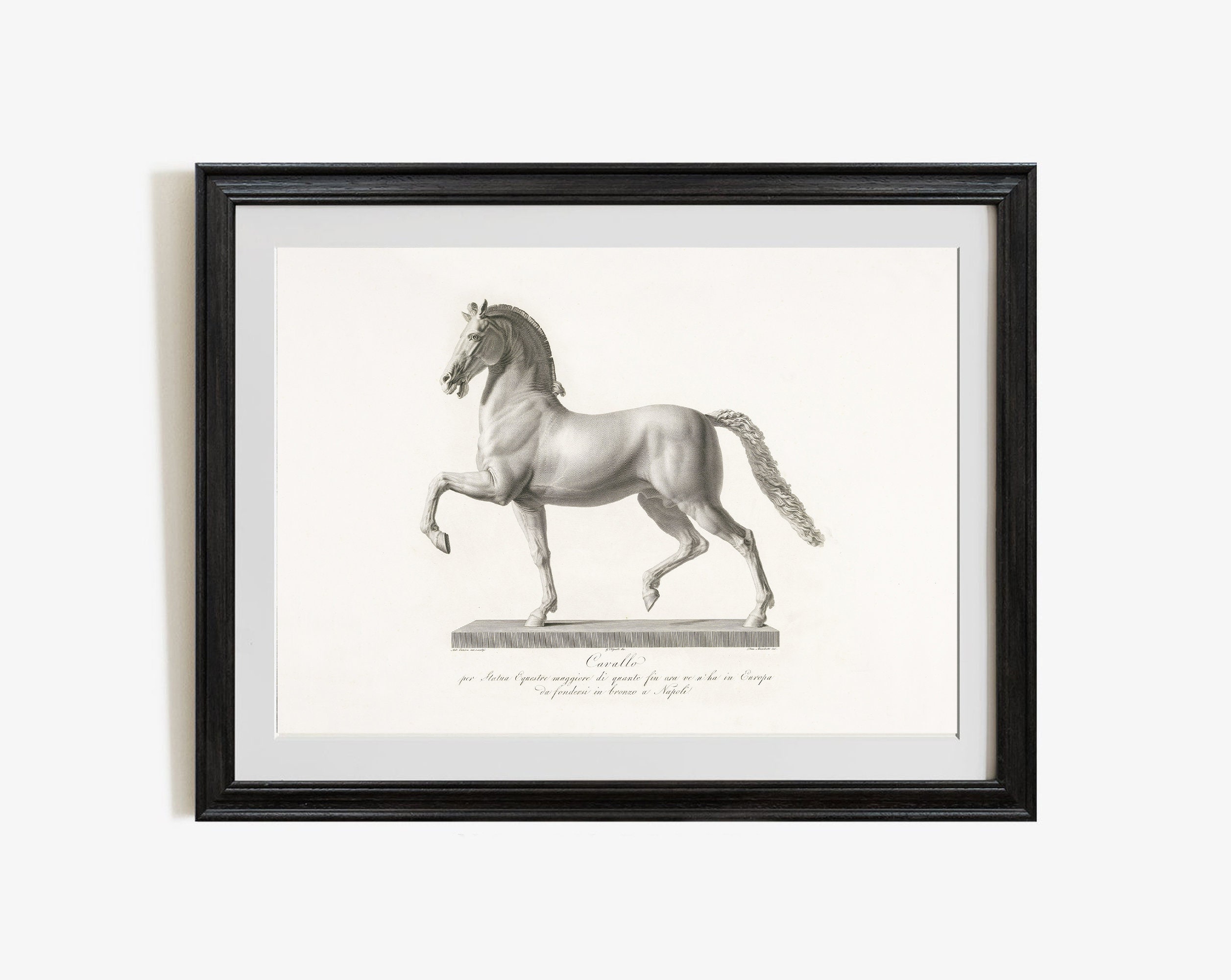 Horse Sketch | Antique Horse Etching | Horse Drawing | Equestrian Print ...