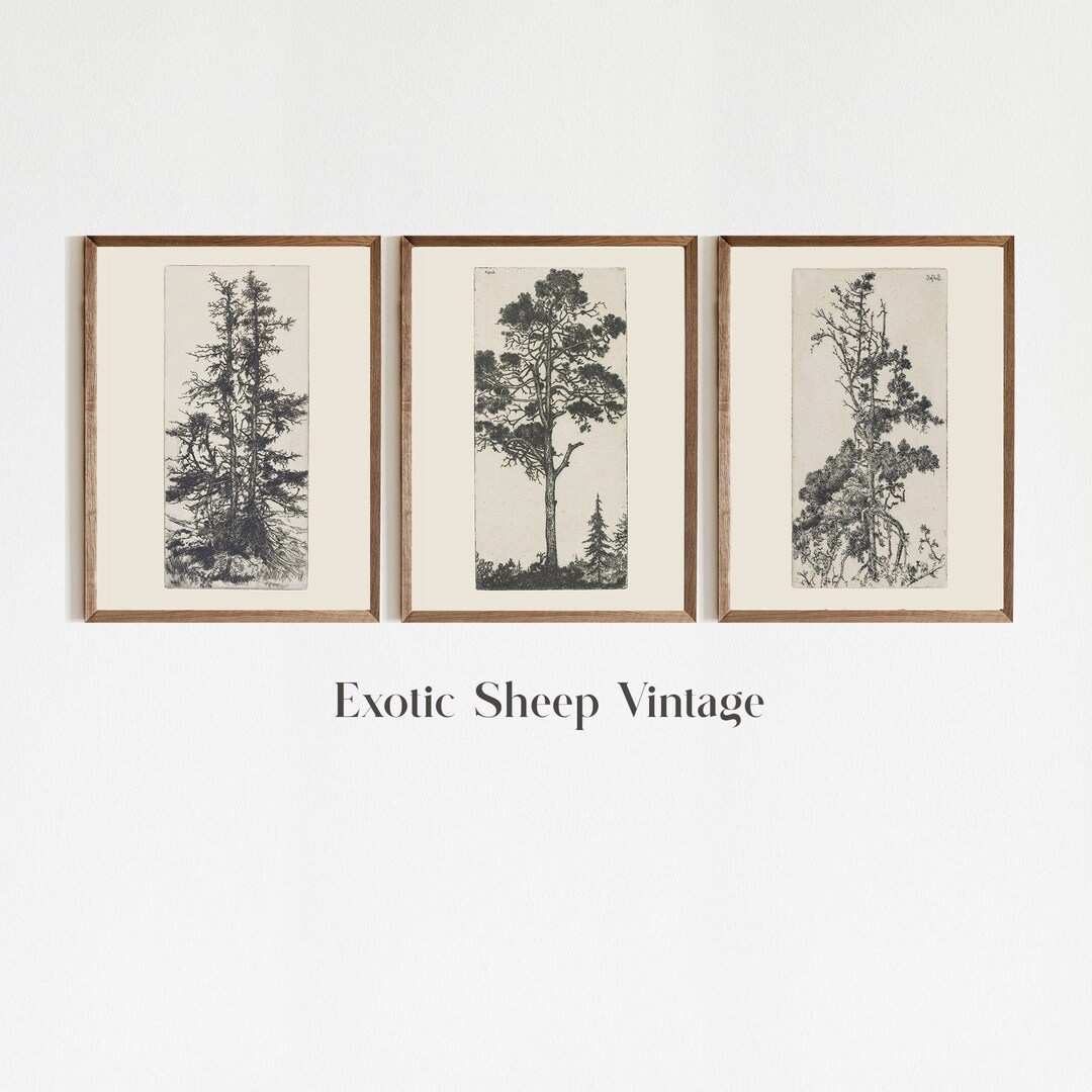 Tree Drawing Set | Sketch Art | Vintage Drawing | Antique Sketch | Tree ...