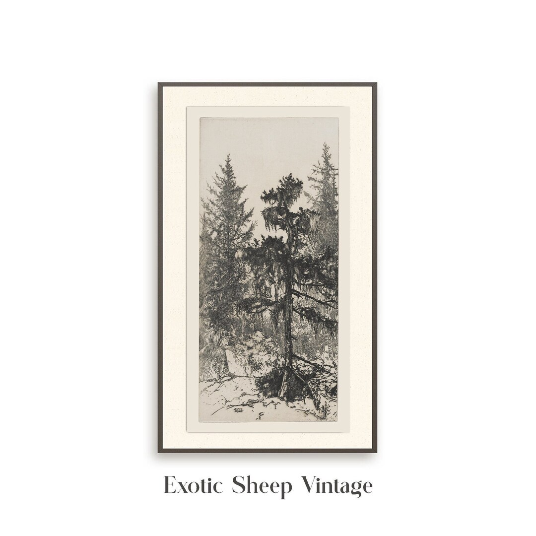 Tree Print | Sketch Art | Tree Drawing | Tree Etching | Antique Sketch ...