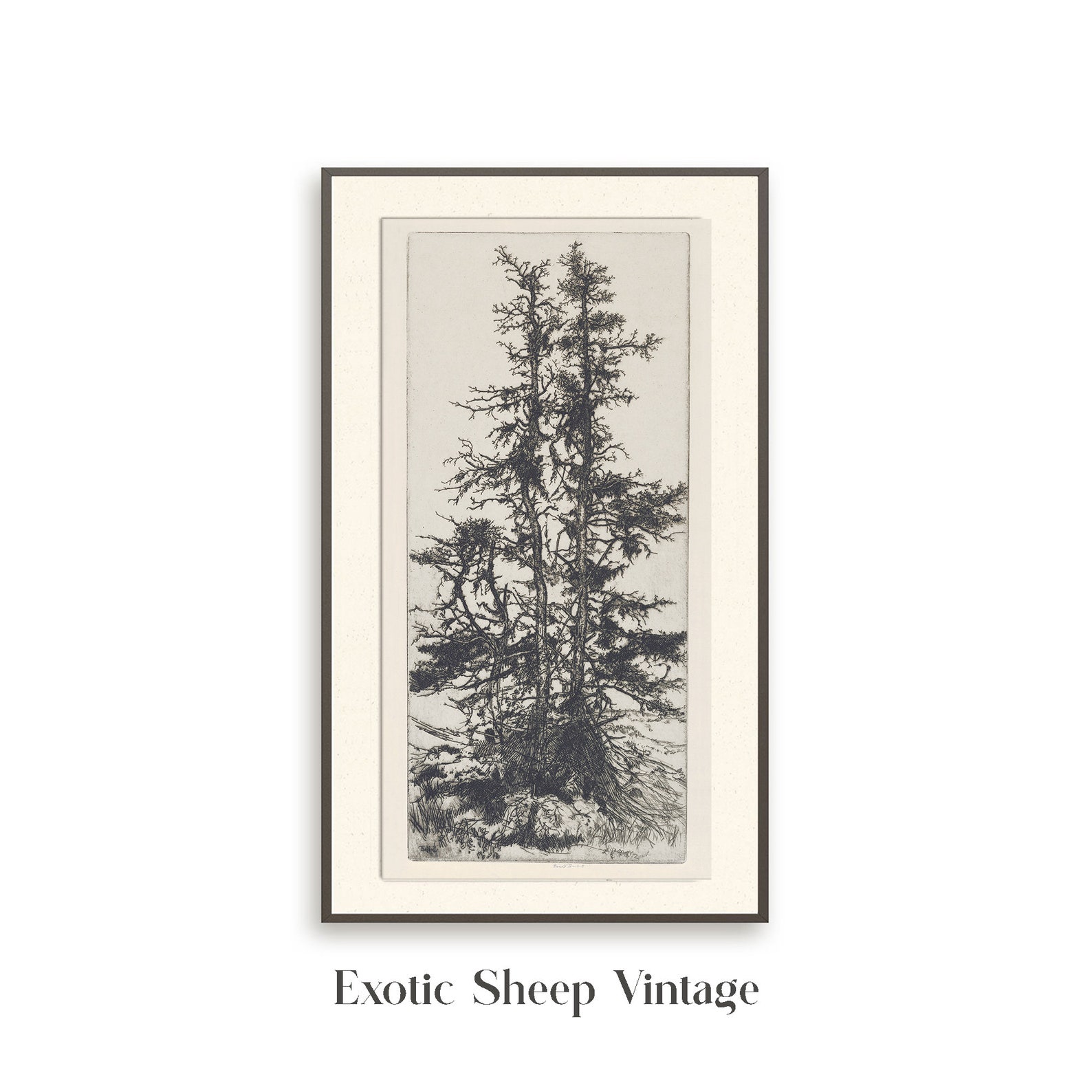 Etching Tree Art Set | Tree Sketch | Tree Drawing | Antique Sketch ...