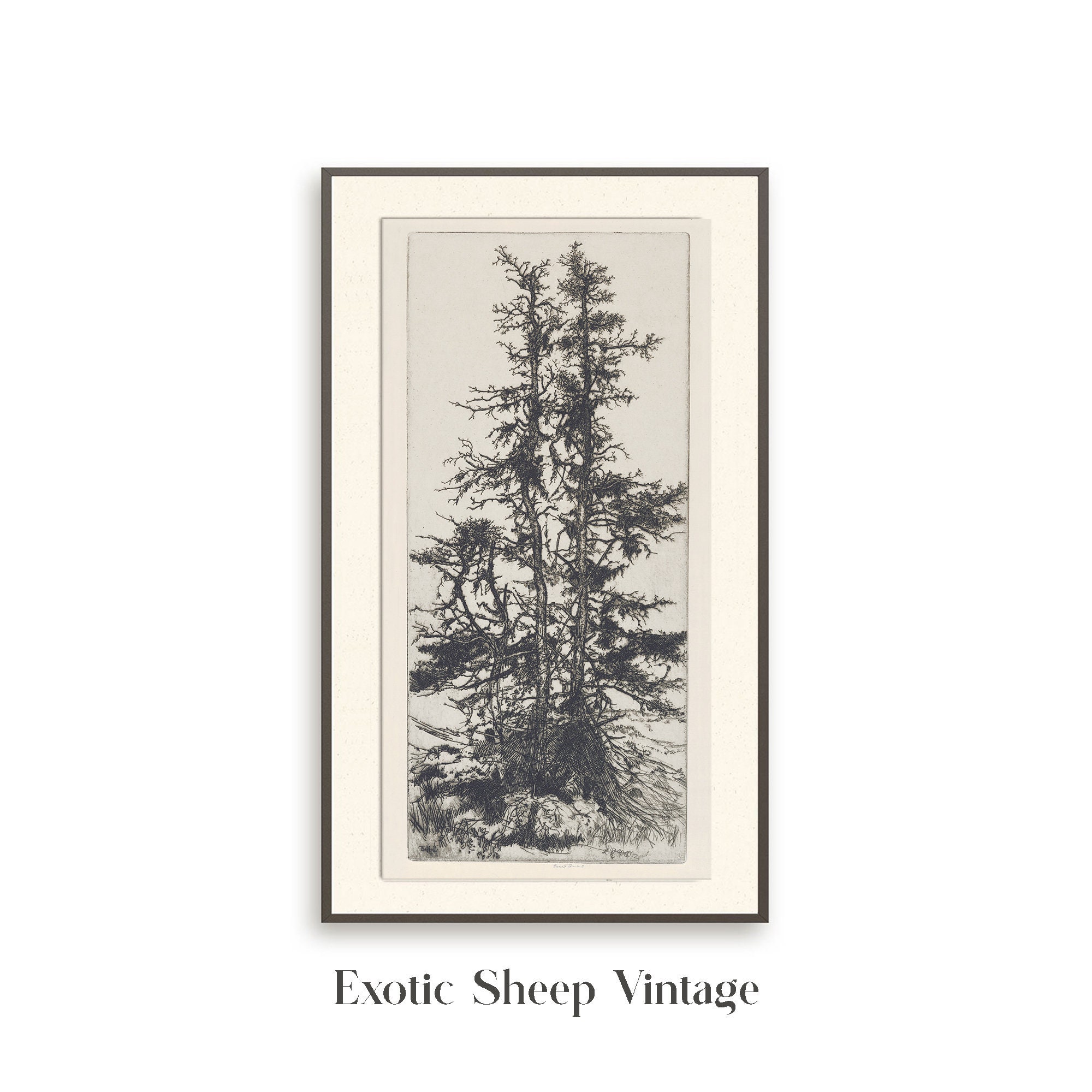 Etching Tree Art Set Tree Sketch Tree Drawing Antique - Etsy