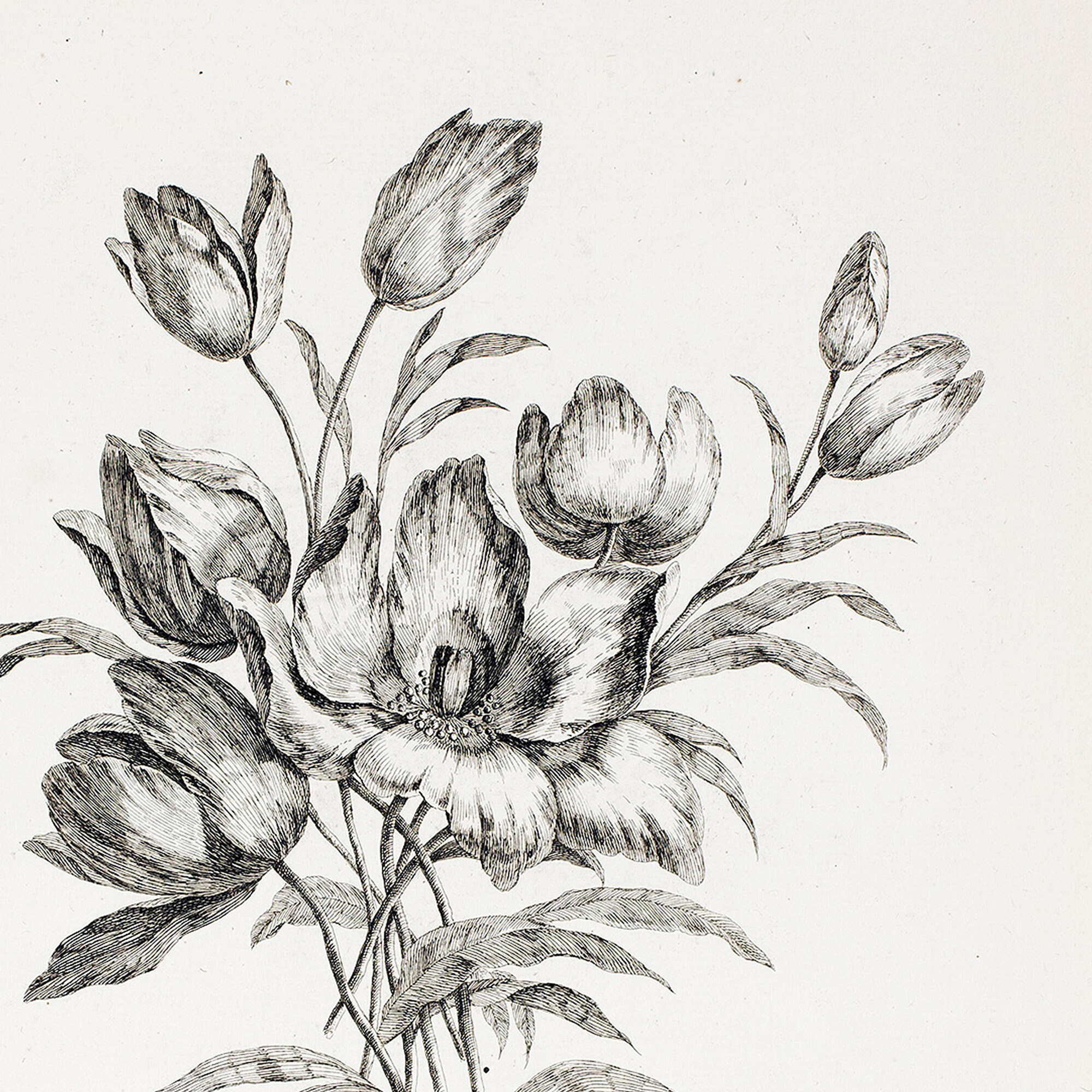 Floral Sketch Vintage Drawing Flower Print Flower Art | Etsy