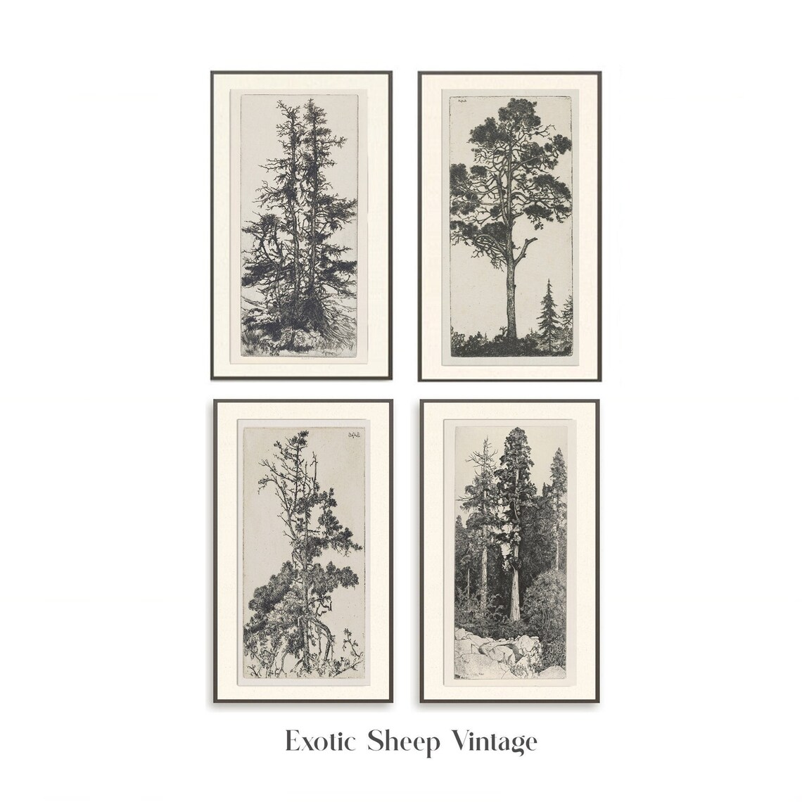 Etching Tree Art Set | Tree Sketch | Tree Drawing | Antique Sketch ...