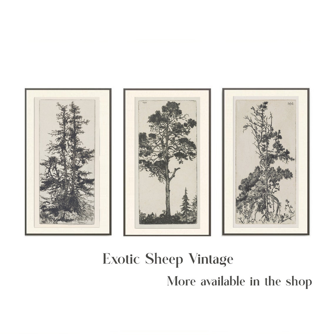 Tree Top Etching | Nature Sketch | Tree Drawing | Pine Tree Sketch ...