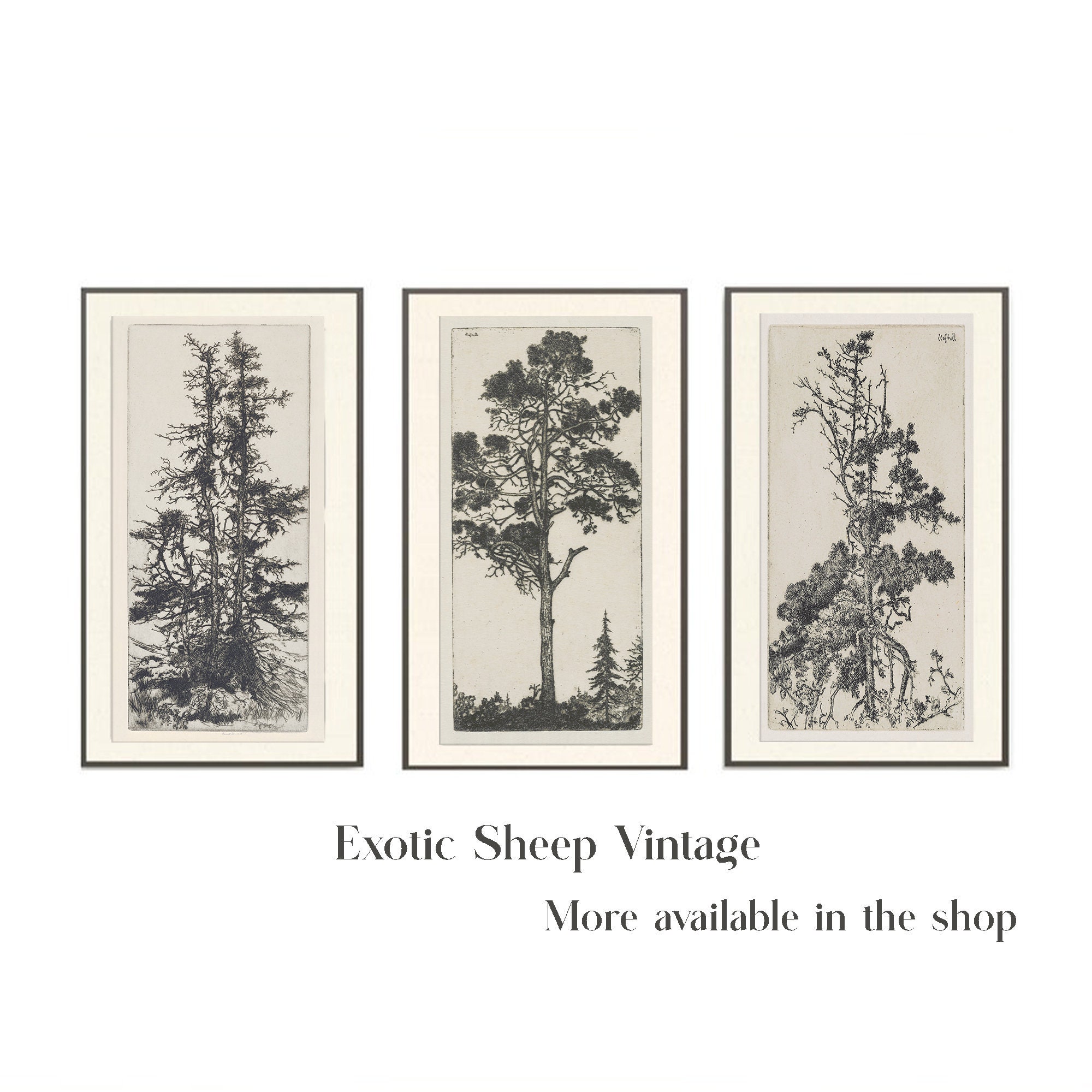 Tree Top Etching Nature Sketch Tree Drawing Pine Tree - Etsy