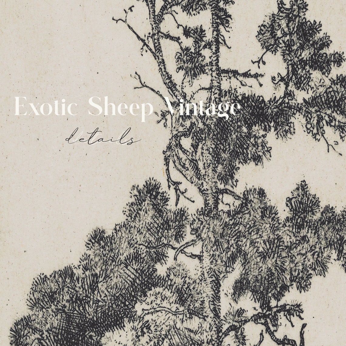 Etching Tree Art Set Tree Sketch Tree Drawing Antique - Etsy