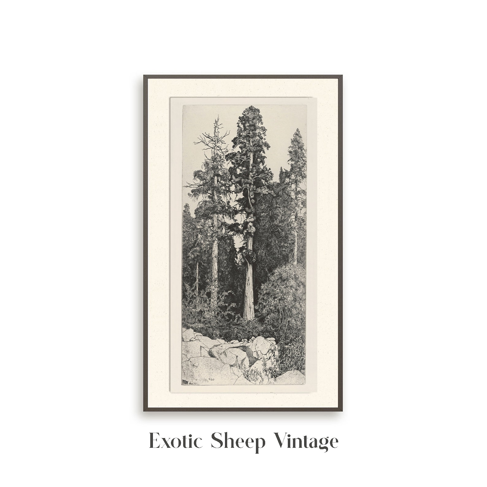 Etching Tree Art Set | Tree Sketch | Tree Drawing | Antique Sketch ...