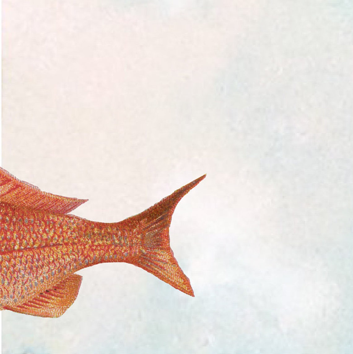 Illuminated Goldfish Medieval Manuscript Art History Poster - Etsy