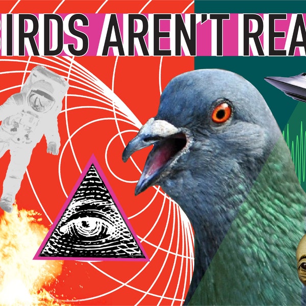 Birds Real Poster - Etsy