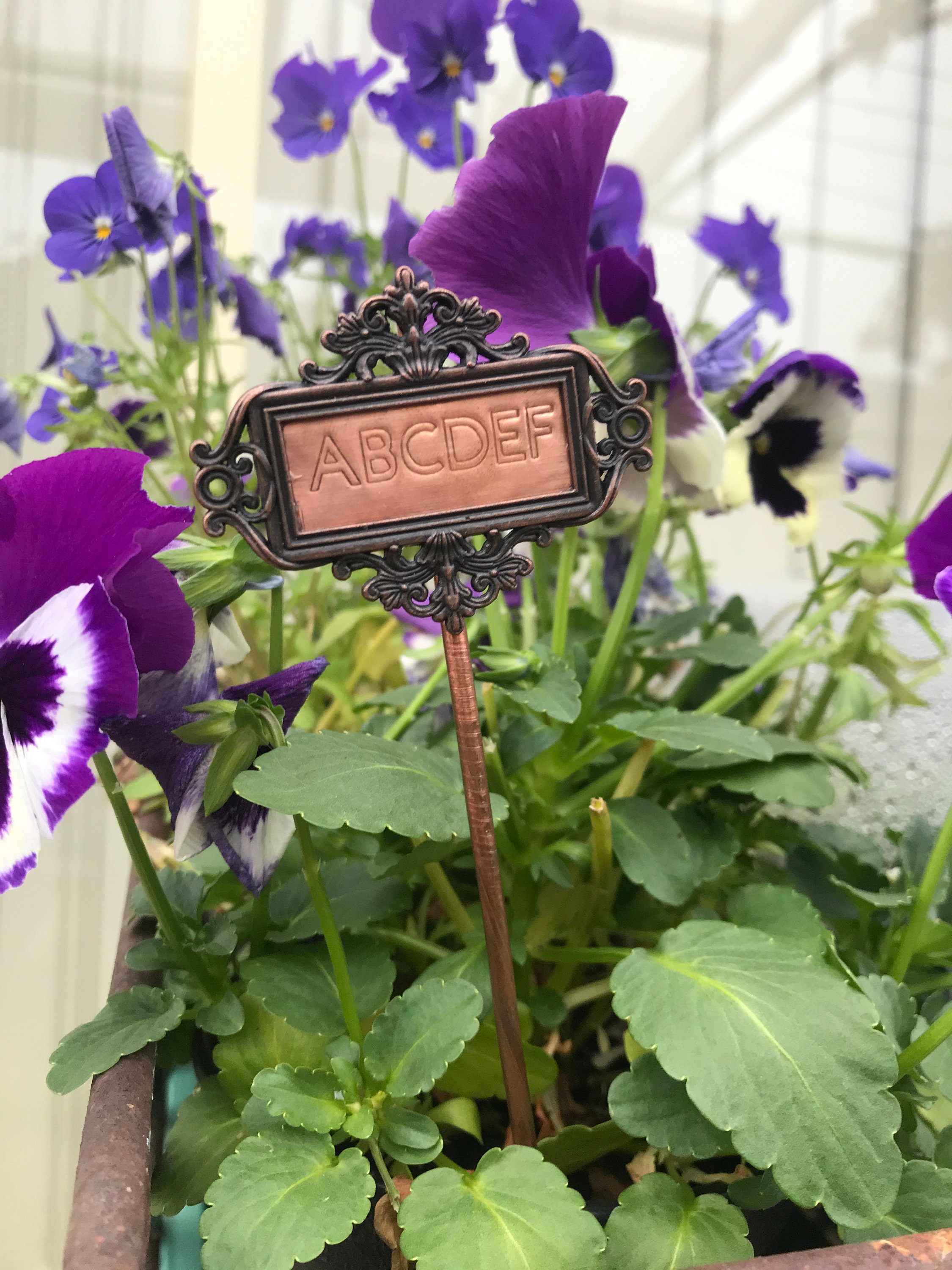 4 Pack Spaghetti Bolognese Garden Label Copper Garden Tag - Etsy