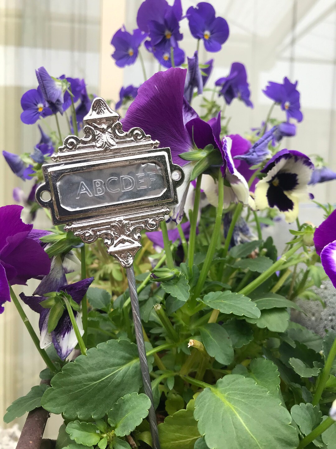 4 Pack Spaghetti Bolognese Garden Label Silver Garden Tag - Etsy Australia