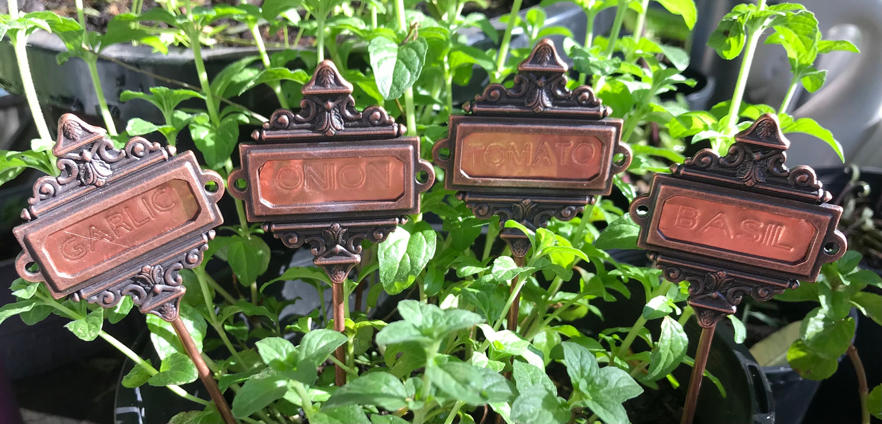 4 Pack Spaghetti Bolognese Garden Label Copper Garden Tag - Etsy