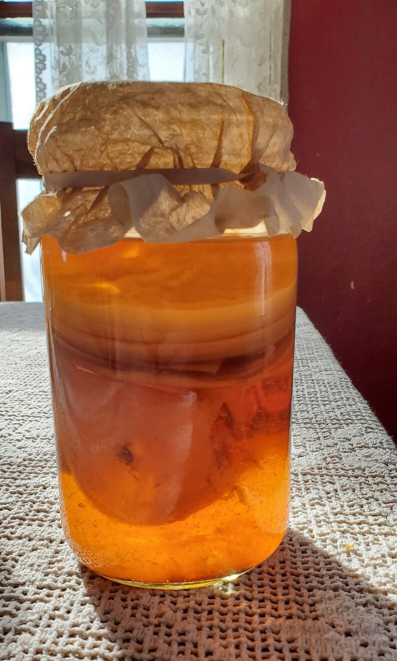 Kombucha Scoby With Full Cup Strong Starter Liquid - Etsy