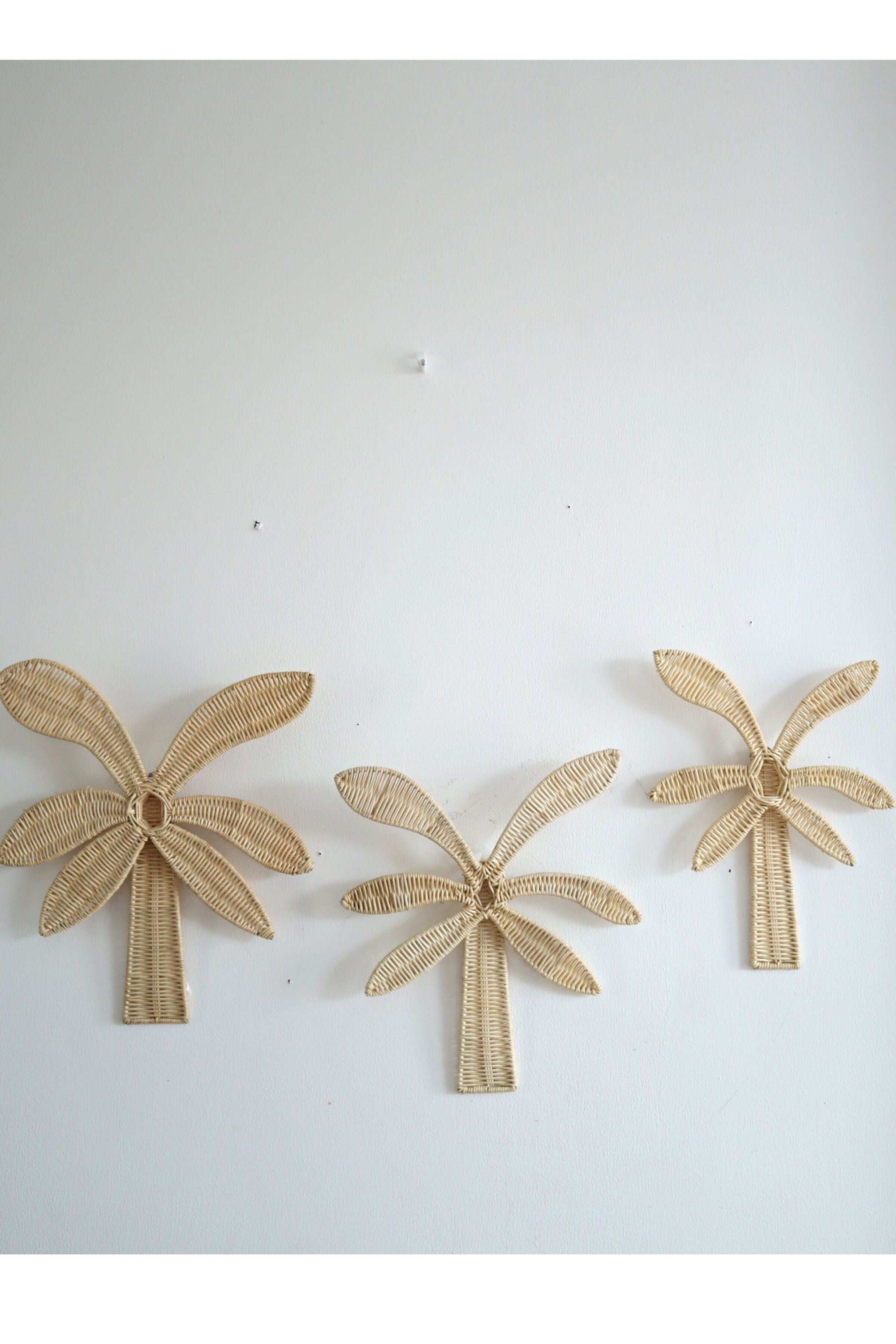Rattan Palm Tree Wall Decor set of 3 Pcs - Etsy