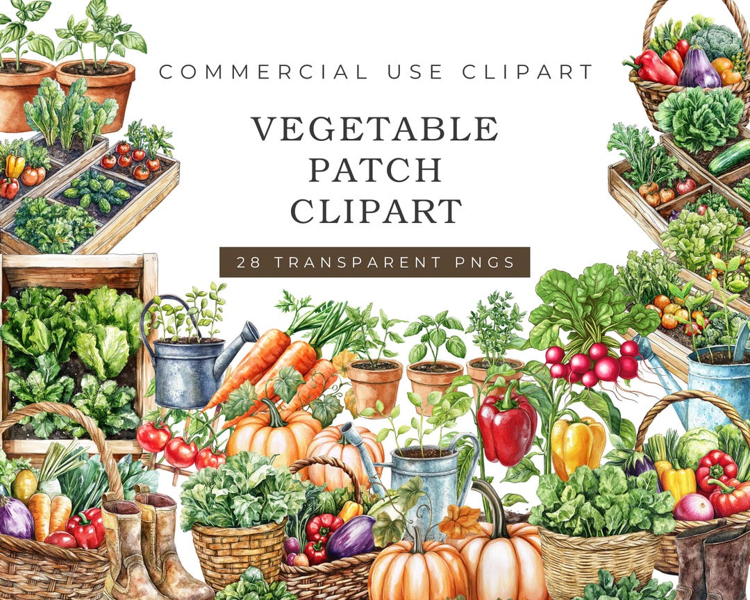 Vegetable Patch Clipart, Farm Garden Veggies PNG, Cottagecore Harvest ...