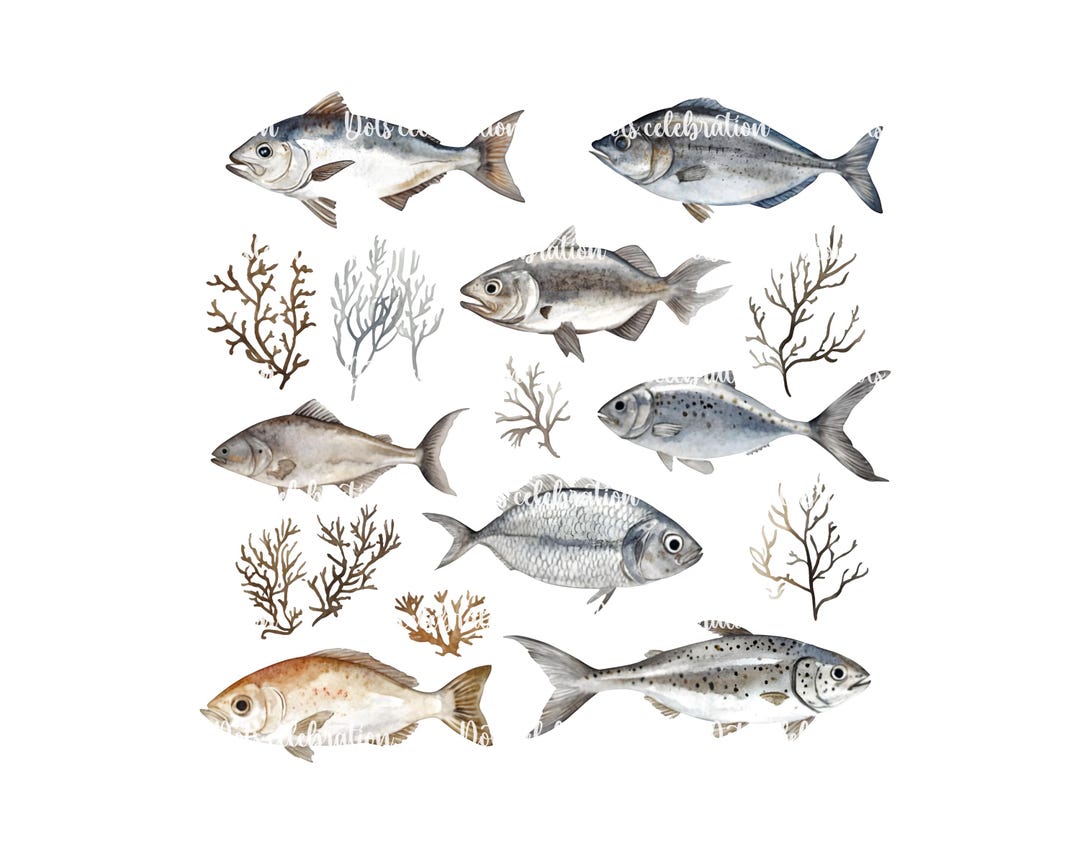 10 Ocean Fishes Clipart, Underwater Fish Illustration PNG, Scrapbooking ...