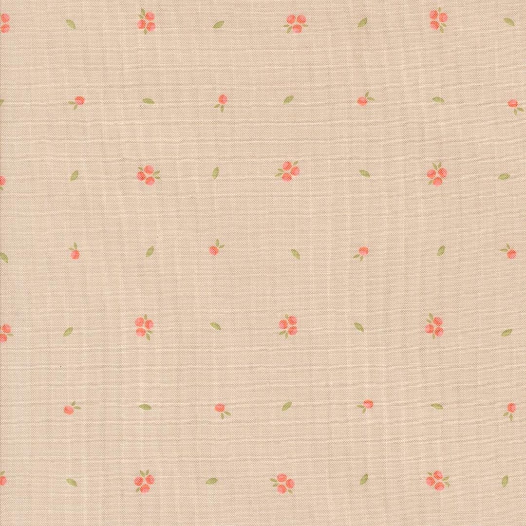 Abloom by Corey Yoder for Moda Fabrics, Item Number 29216-20 Stone - Etsy