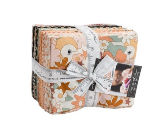 Kitty Corn Charm Pack Quilt Kit and Pattern Urban Chiks for Moda ...