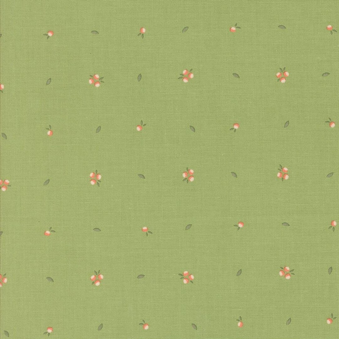 Abloom by Corey Yoder for Moda Fabrics, Item Number 29216-17 Cucumber ...