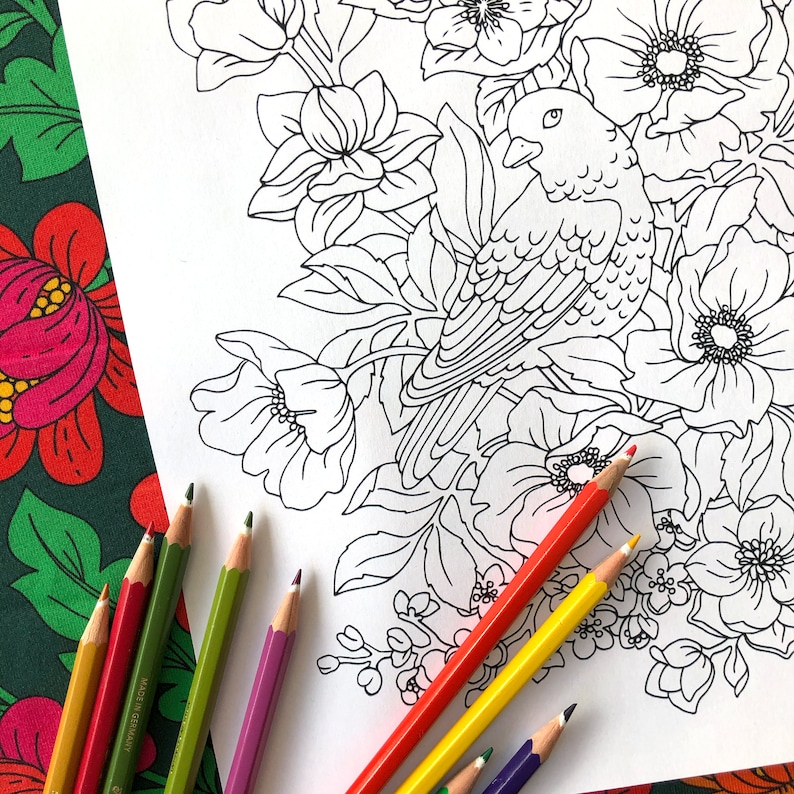 Birds - Set of 2 Pages, PDF Coloring Pages, Instant Download Printable ...