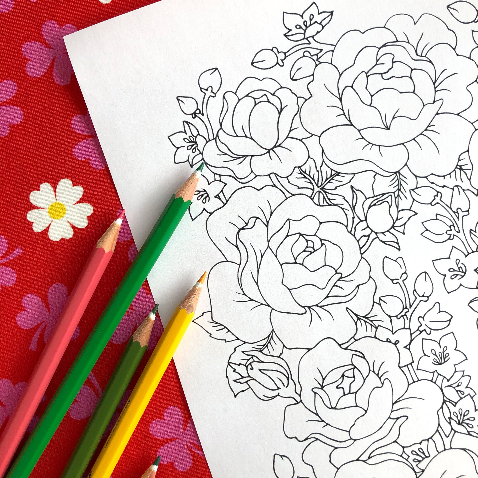 Rhosyn, PDF Coloring Page, Instant Download Printable File for Adults ...
