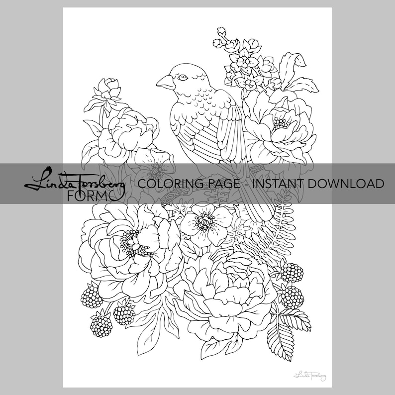 Birds - Set of 2 Pages, PDF Coloring Pages, Instant Download Printable ...