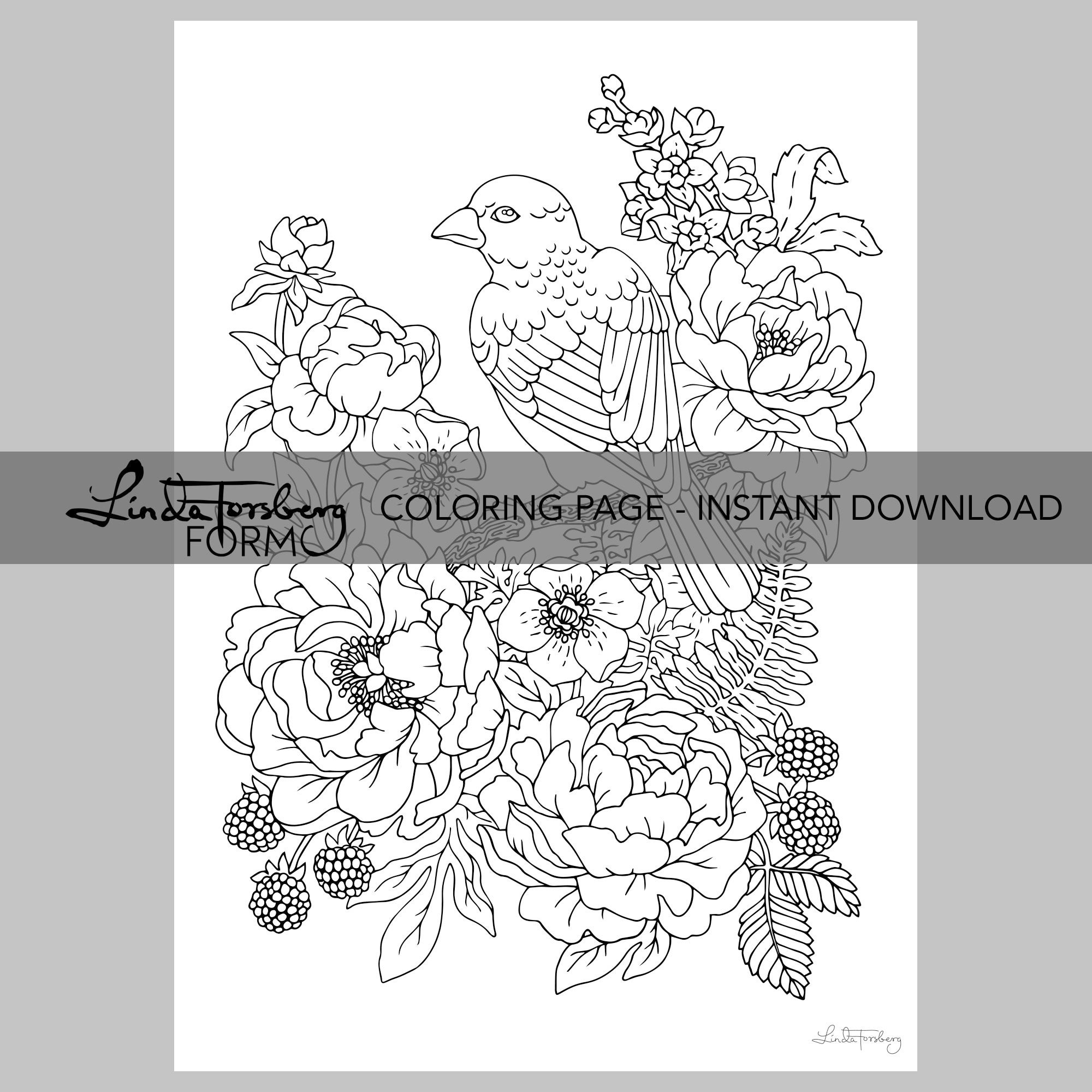 Birds - Set of 2 Pages, PDF Coloring Pages, Instant Download Printable ...