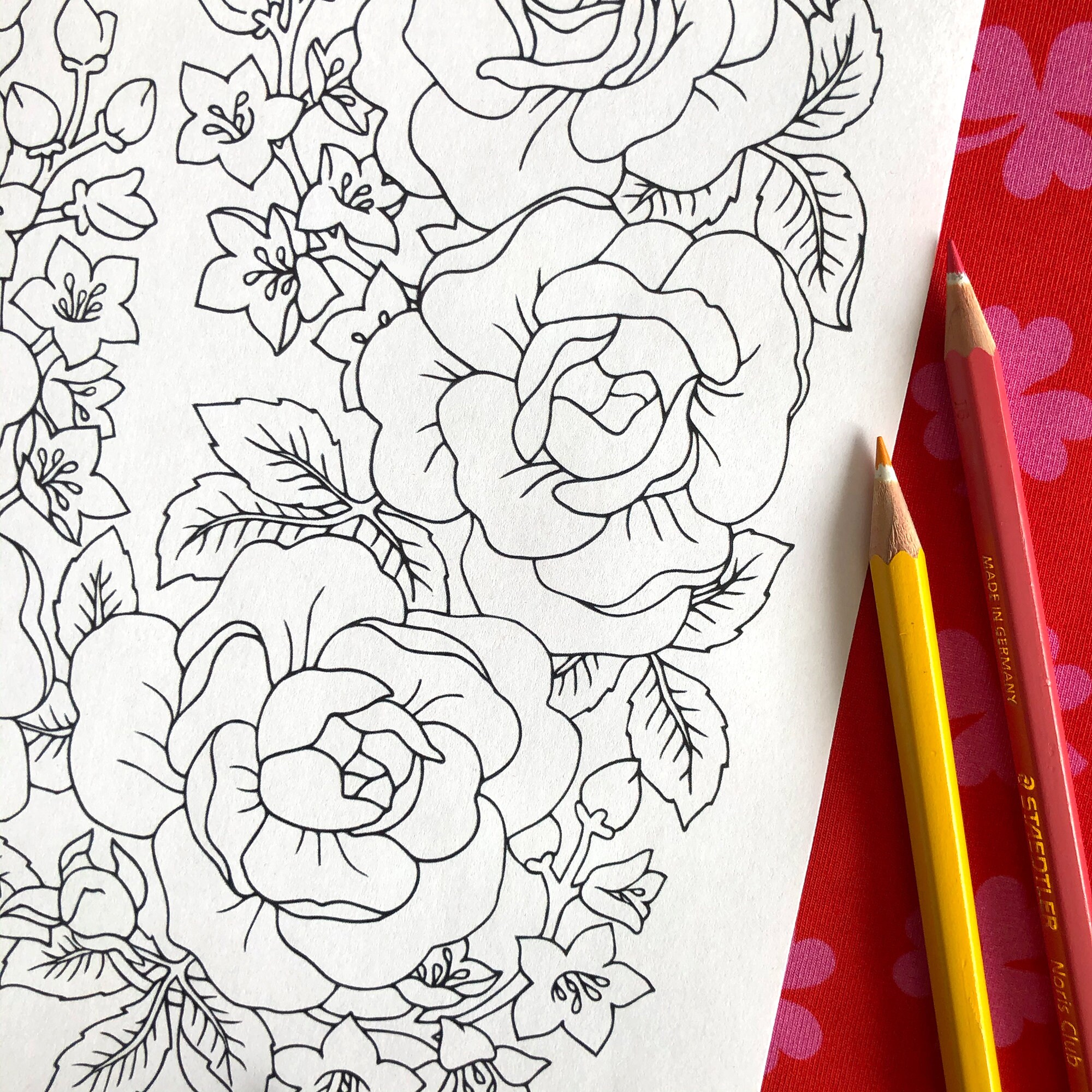 Rhosyn, PDF Coloring Page, Instant Download Printable File for Adults ...