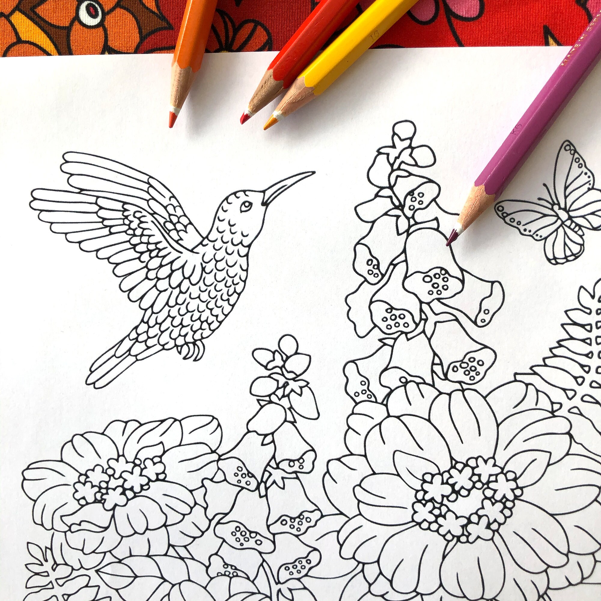 Trochilidae PDF Printable Coloring Page Instant Download - Etsy