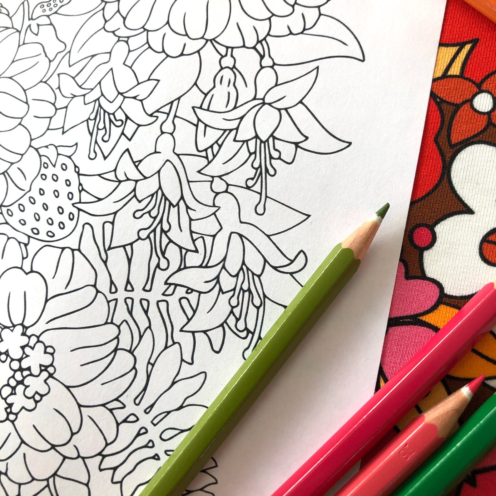 Trochilidae PDF Printable Coloring Page Instant Download - Etsy