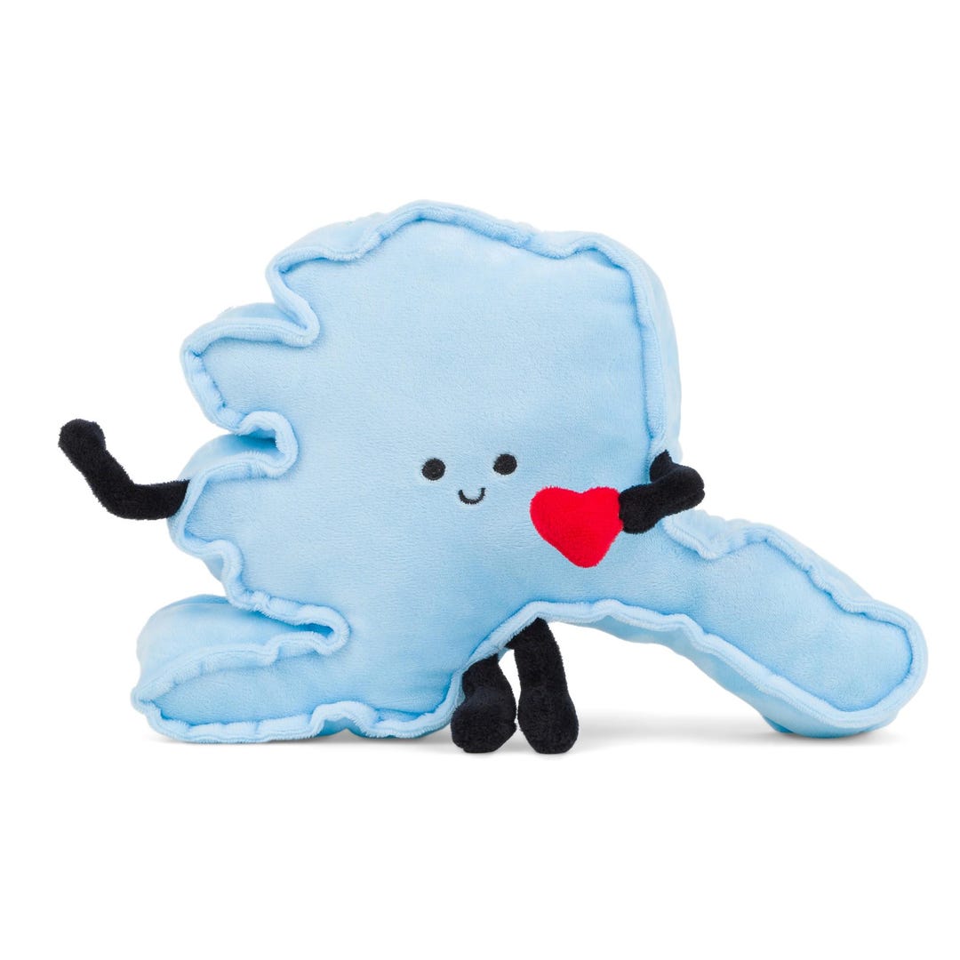 Alaska State Stuffed Plush Doll, Gift for Her, Dorm Decor, Graduation ...