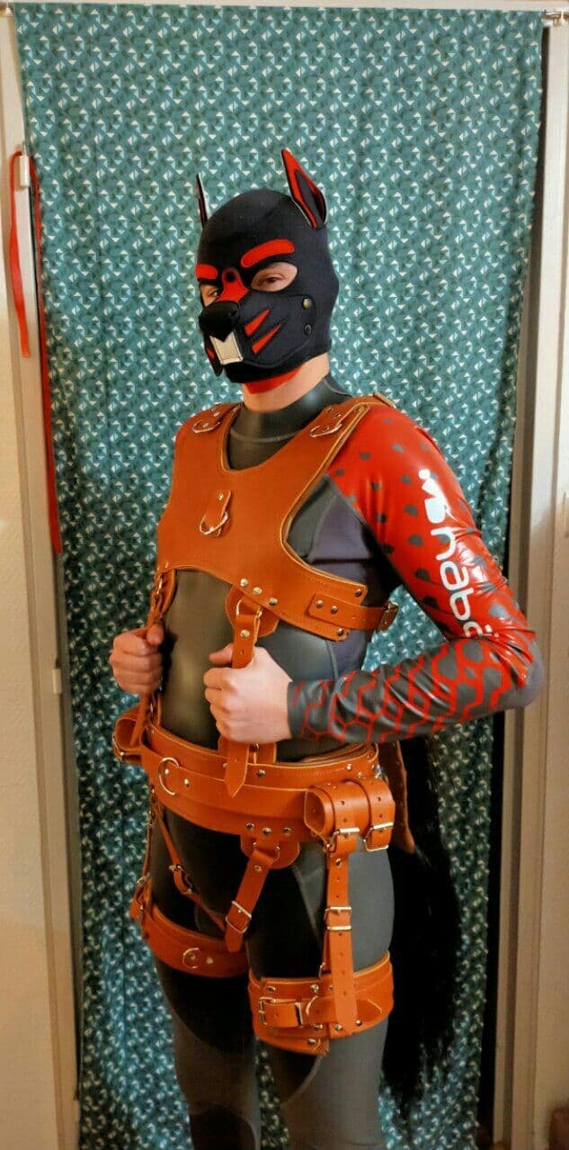 Brown Leather Pony Play Harness - Etsy