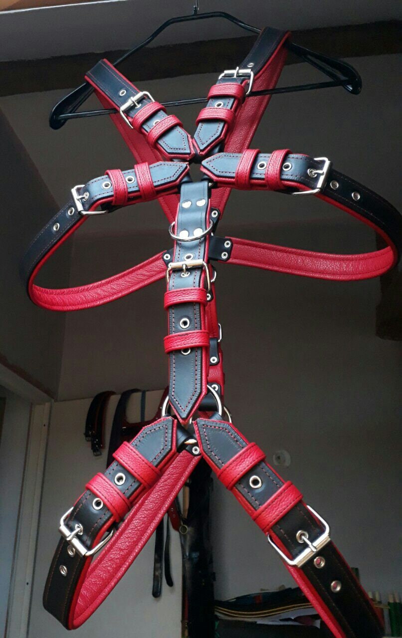 Integral Leather Harness - Etsy