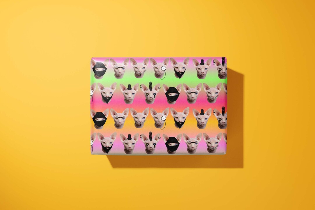 Funny Sphynx Cat Wrapping Paper With Hand-drawn Elements on Rainbow ...